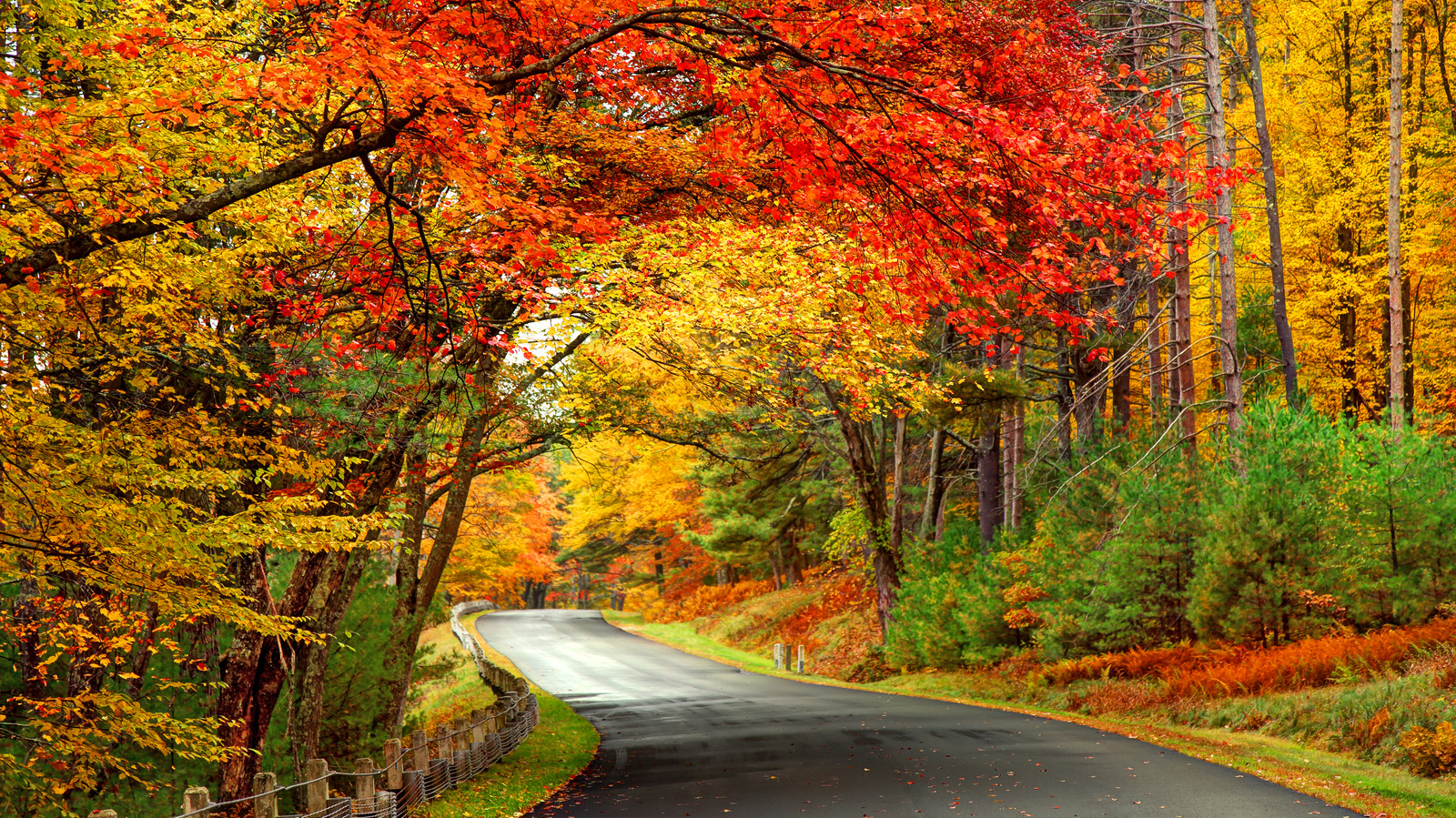 This Lesser-Known National Park Is The Perfect Place To See Fall Foliage This Lesser-Known National Park Is The Perfect Place To See Fall Foliage