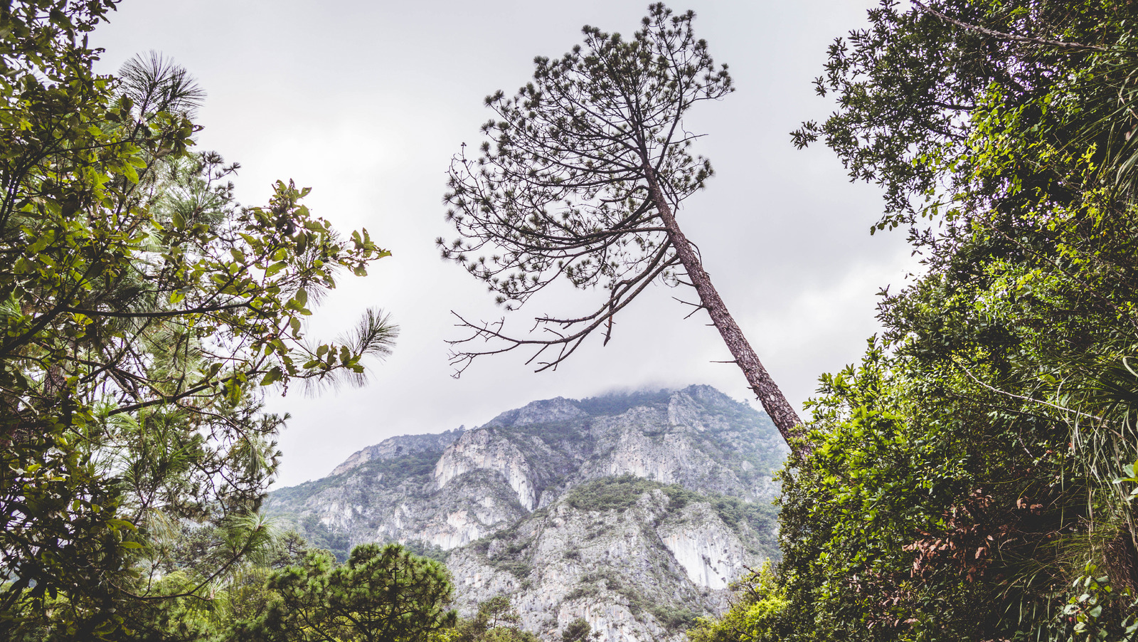 This Popular Mexico Park Is A Great Destination For Mountainside ...