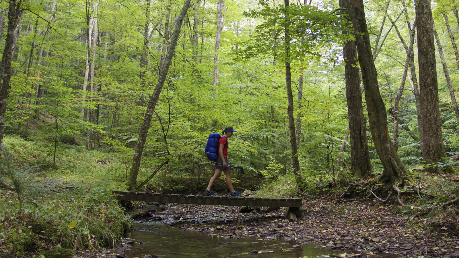 This Quiet, Gorgeously Green State Park Must Be One Of Pennsylvania's ...