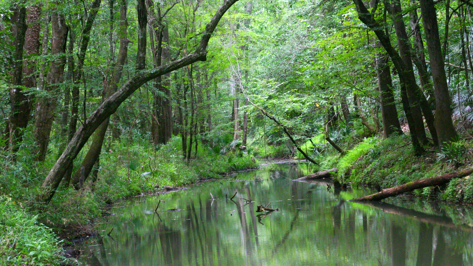 This State Park Is A Must-Visit For Hikers Visiting Florida