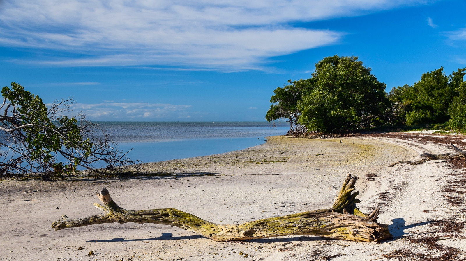 This State Park Is One Of The Top Ranked Camping Destinations In Florida