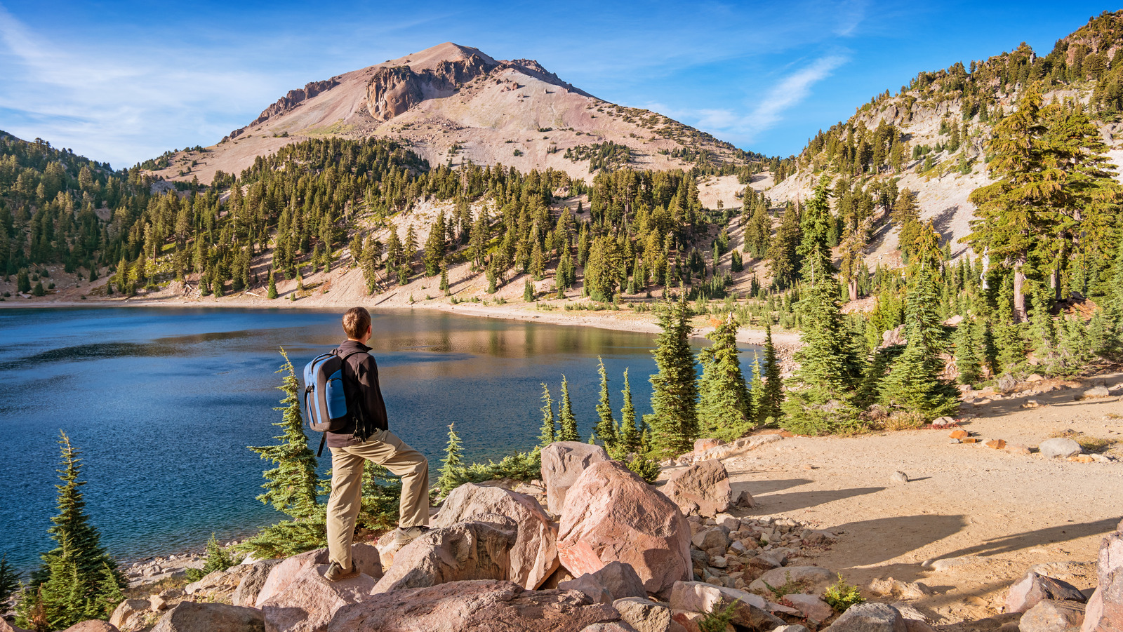This Underrated California National Park Is Home To The World's Largest ...
