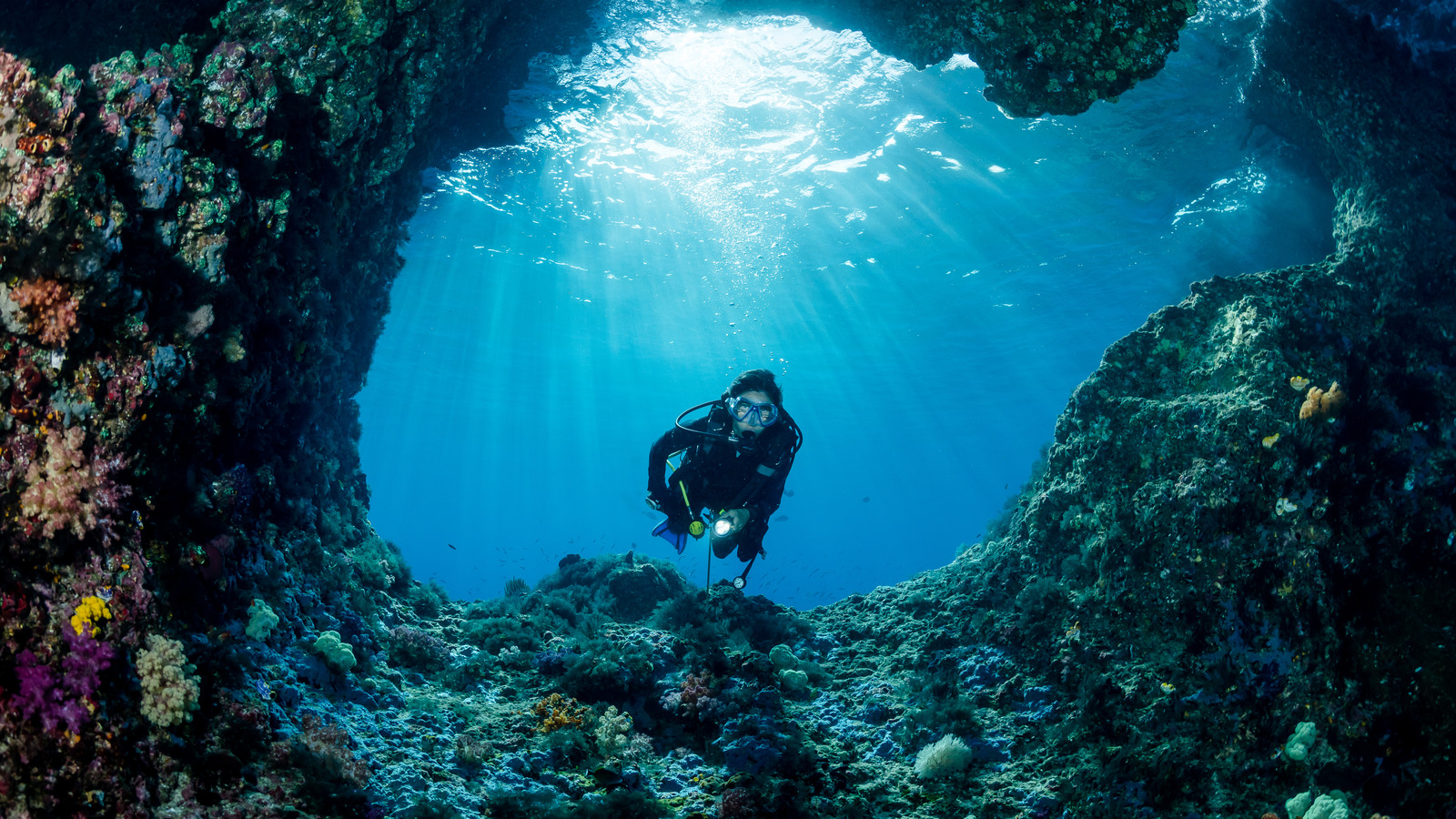 This Underwater Cave Dive In America Is So Dangerous, Its Entrance Is ...