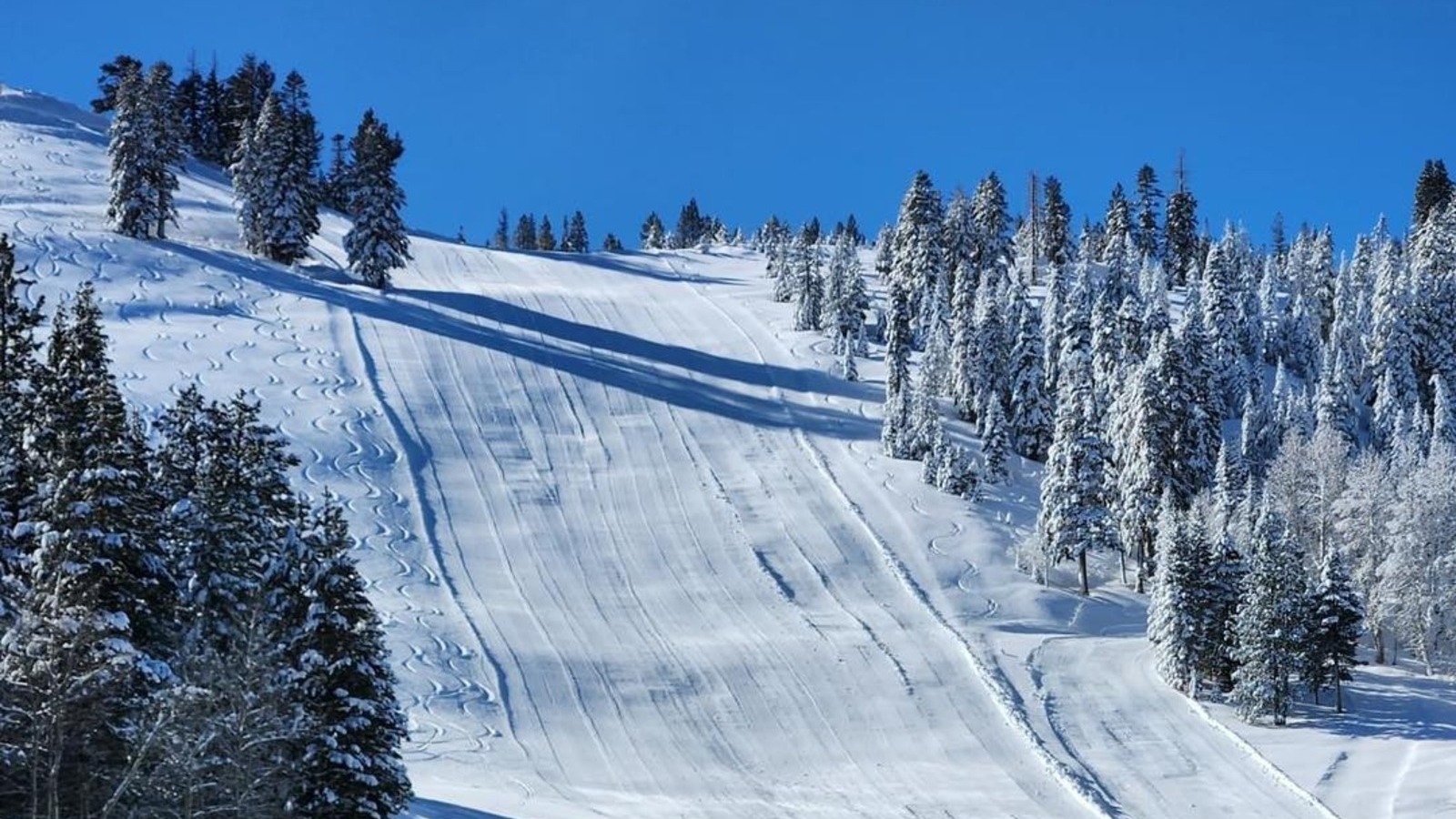 This Western State's Accessible Ski Resort Is Perfect For Beginners