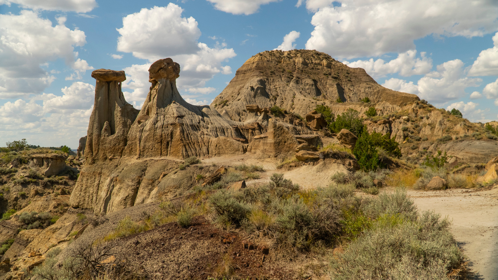 This Western US State Park Is A Great Destination For Discovering Fossils