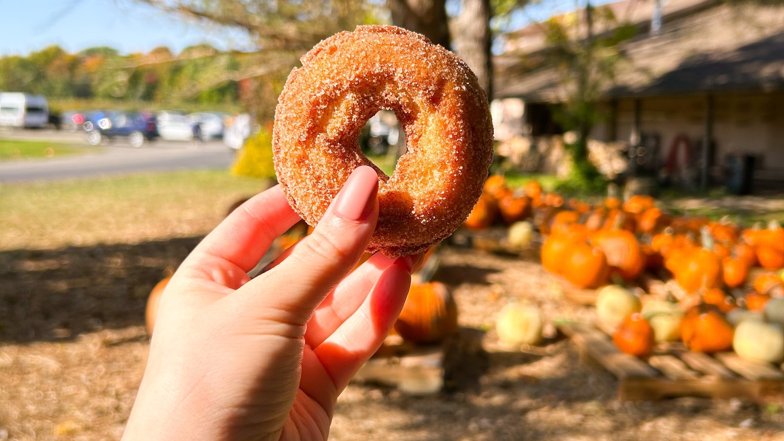 Tourists Love This Delightful Farm In Massachusetts Full Of Cozy Fall ...