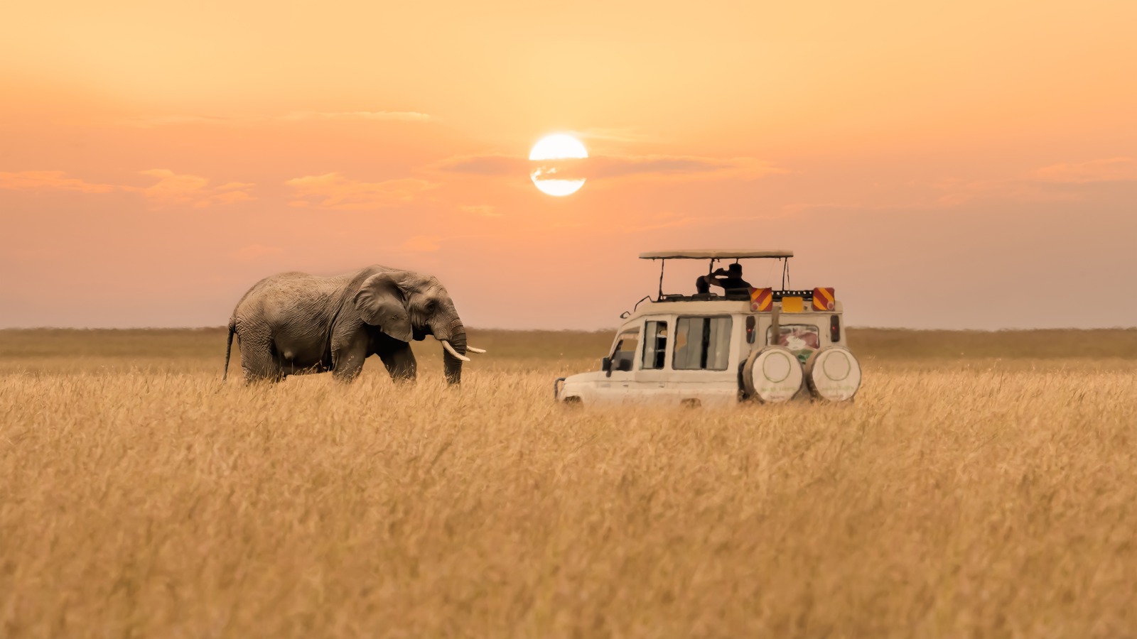 Unexpected Things Tourists Should Know Before Their First African Safari
