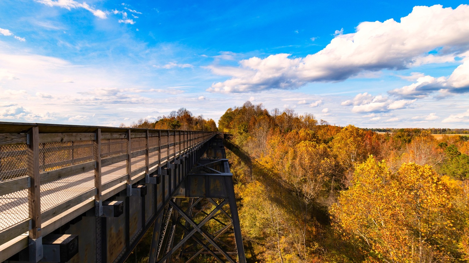 Virginia's Longest Recreational Bridge Crosses A Vibrant Oasis Of Fall ...