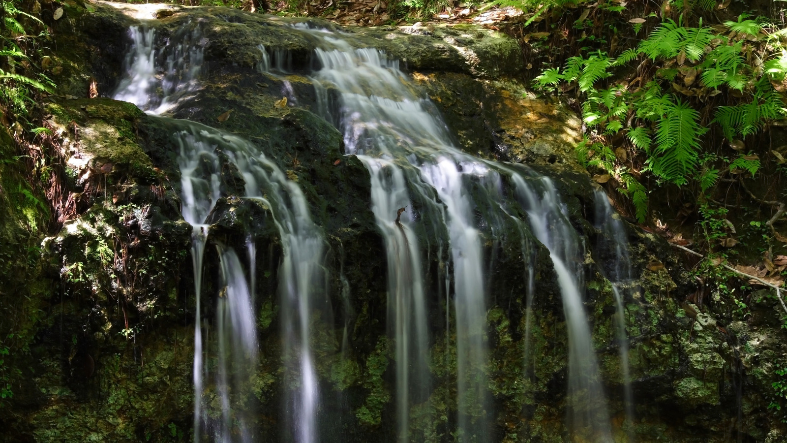 Visit The Panhandle To See Florida's Largest Waterfall In This Serene ...
