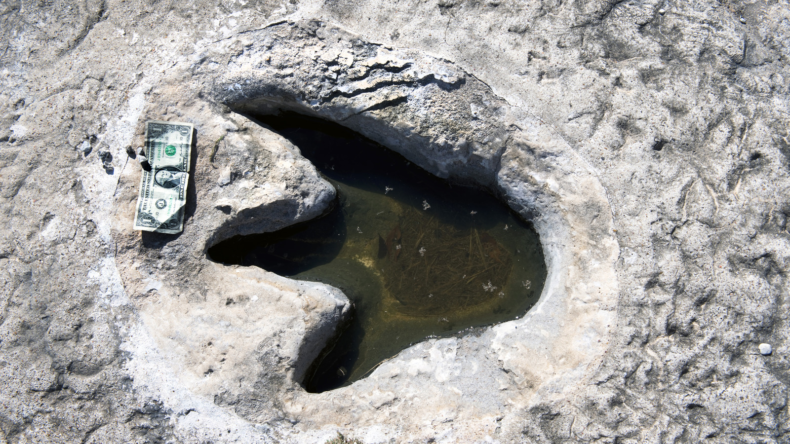 Visit This Texas State Park And Step Into Actual Ancient Dinosaur ...