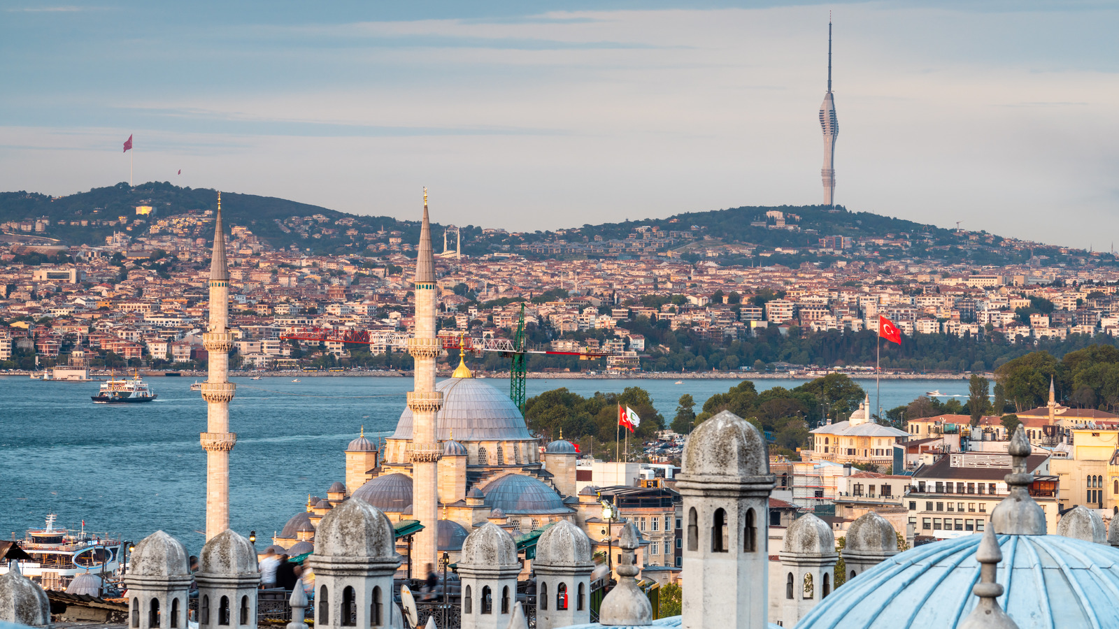 Visitors In Istanbul Are Obsessed With The Boulder, A Famous Local Dog