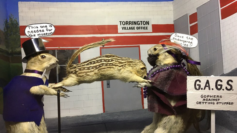 Weird Museums You Won't Believe Exist