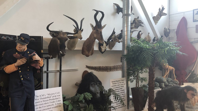 Weird Museums You Won't Believe Exist
