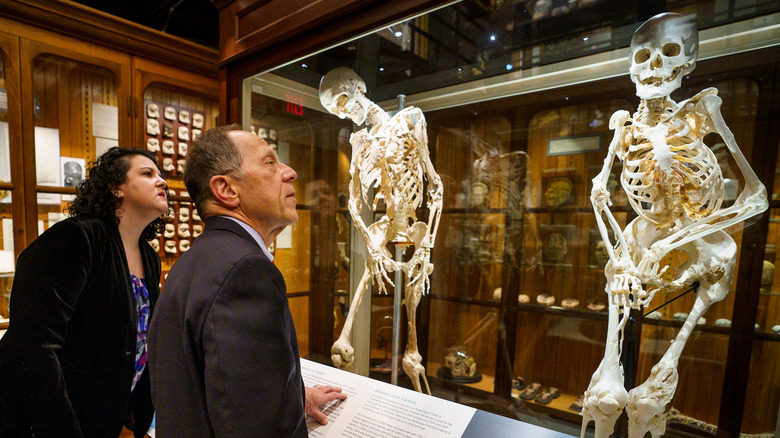 Weird Museums You Won't Believe Exist