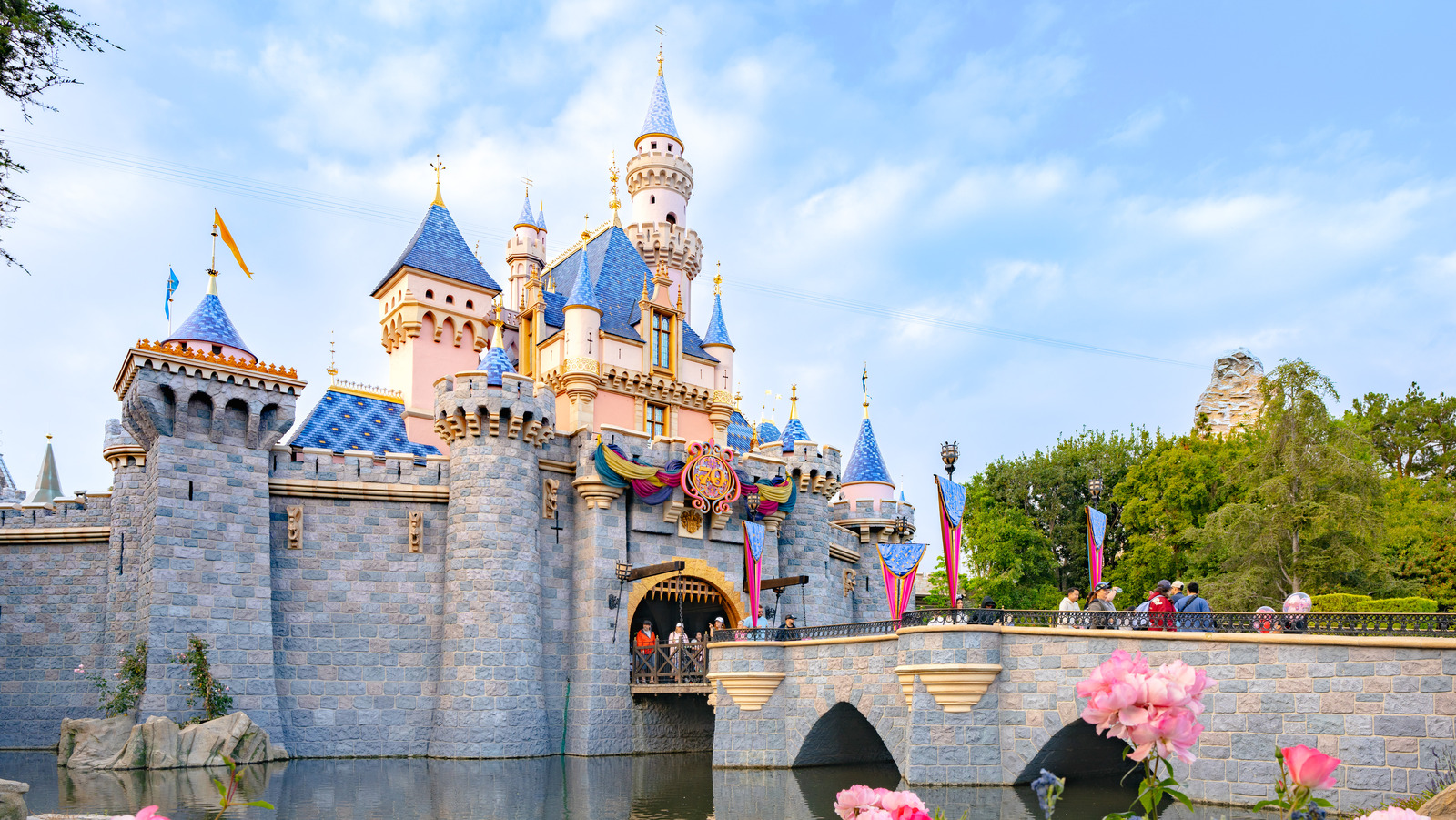 What It Means To 'Rope Drop' At Disney Parks & Why It May Be The ...