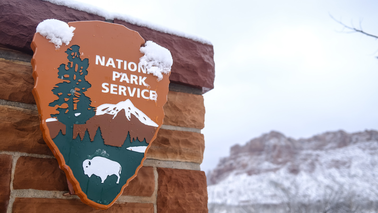 What It Means When Park Rangers & Guests Refer To Their Favorite ...