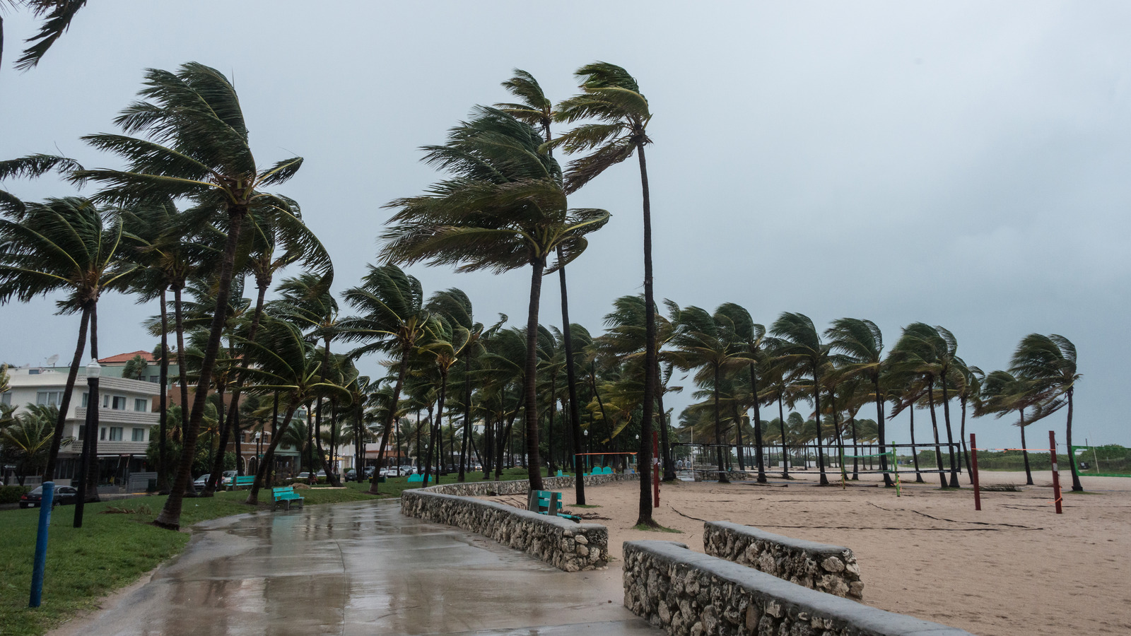 What You Should Know Before Planning A Road Trip During Hurricane Season
