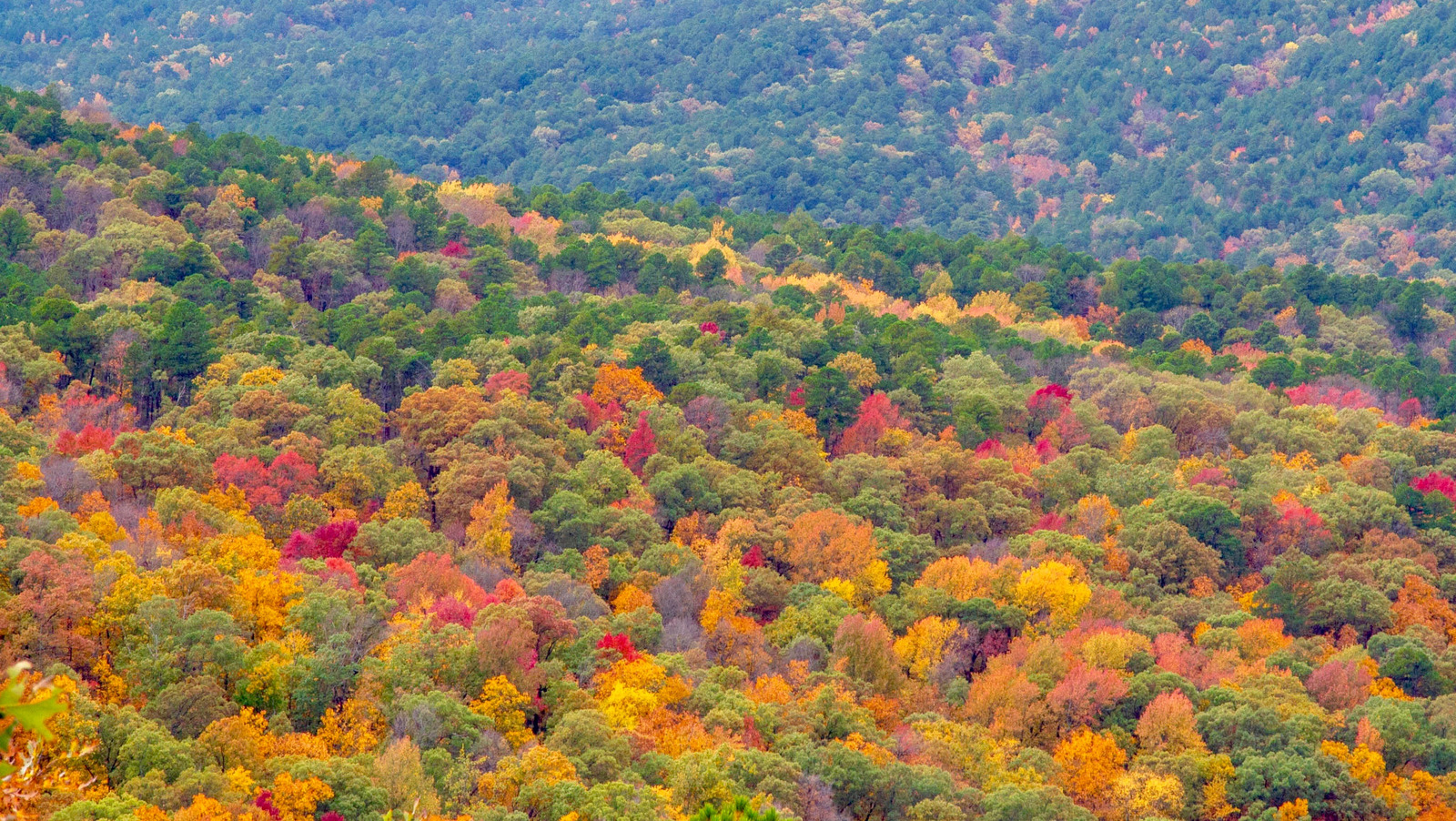 Witness Oklahoma's Best Fall Foliage On This Underrated Scenic Byway ...