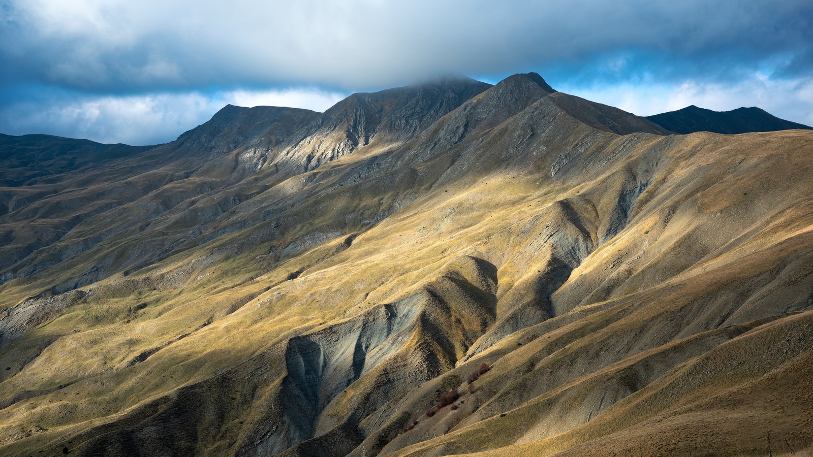 You'll See Rare Wildlife And Unmatched Beauty At This Magical Mountain ...